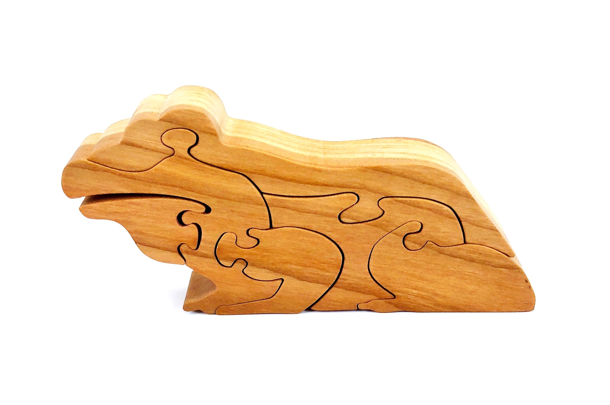 Frog Puzzle – The Ramp Hatchery