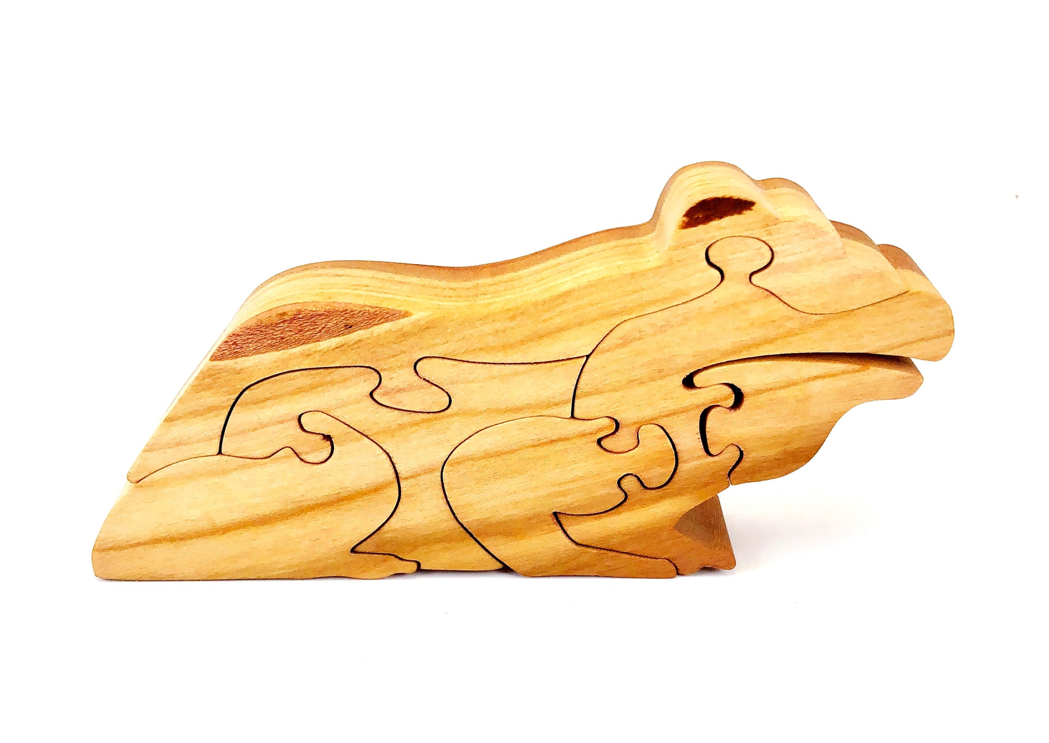 Frog Puzzle – The Ramp Hatchery