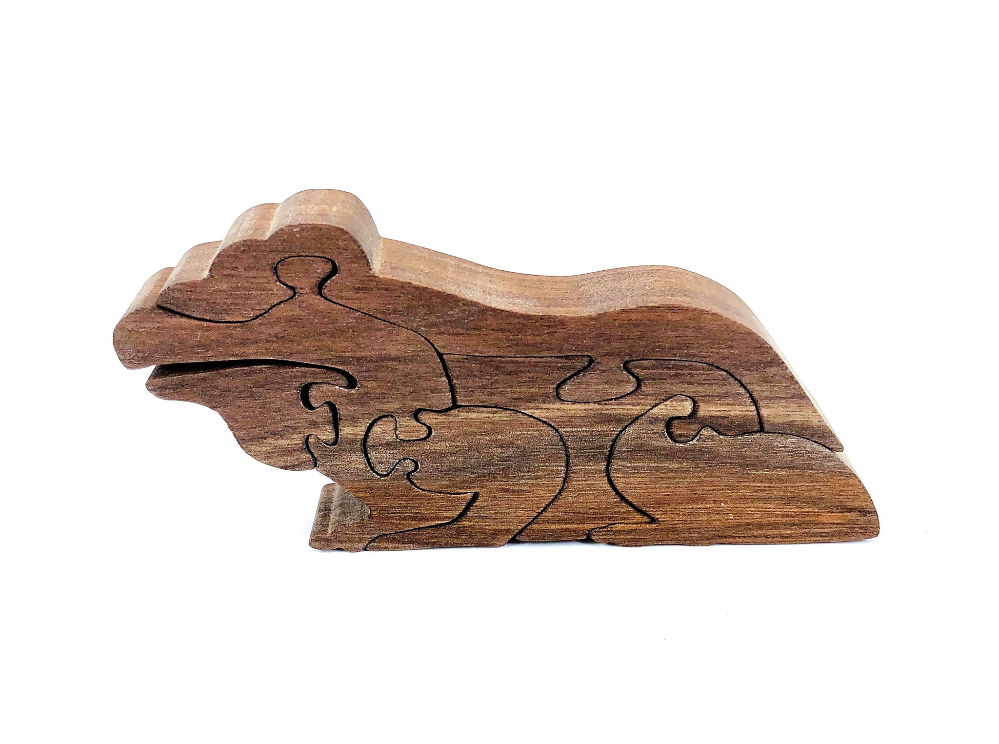 Frog Puzzle – The Ramp Hatchery