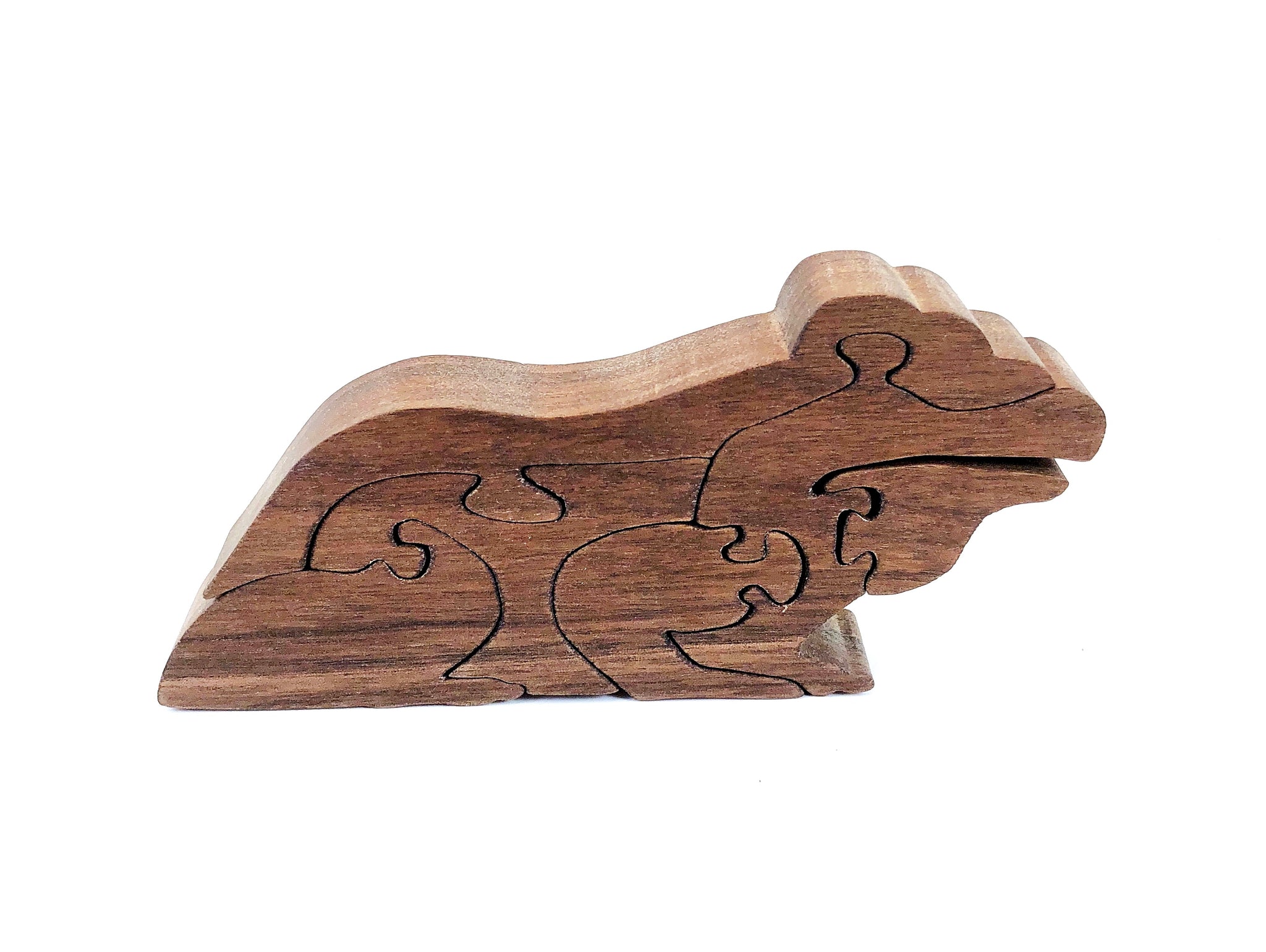 Frog Puzzle – The Ramp Hatchery