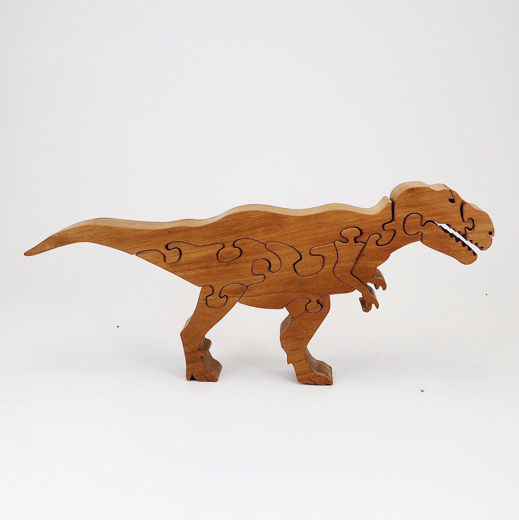 Dinosaur Puzzles – The Ramp Hatchery